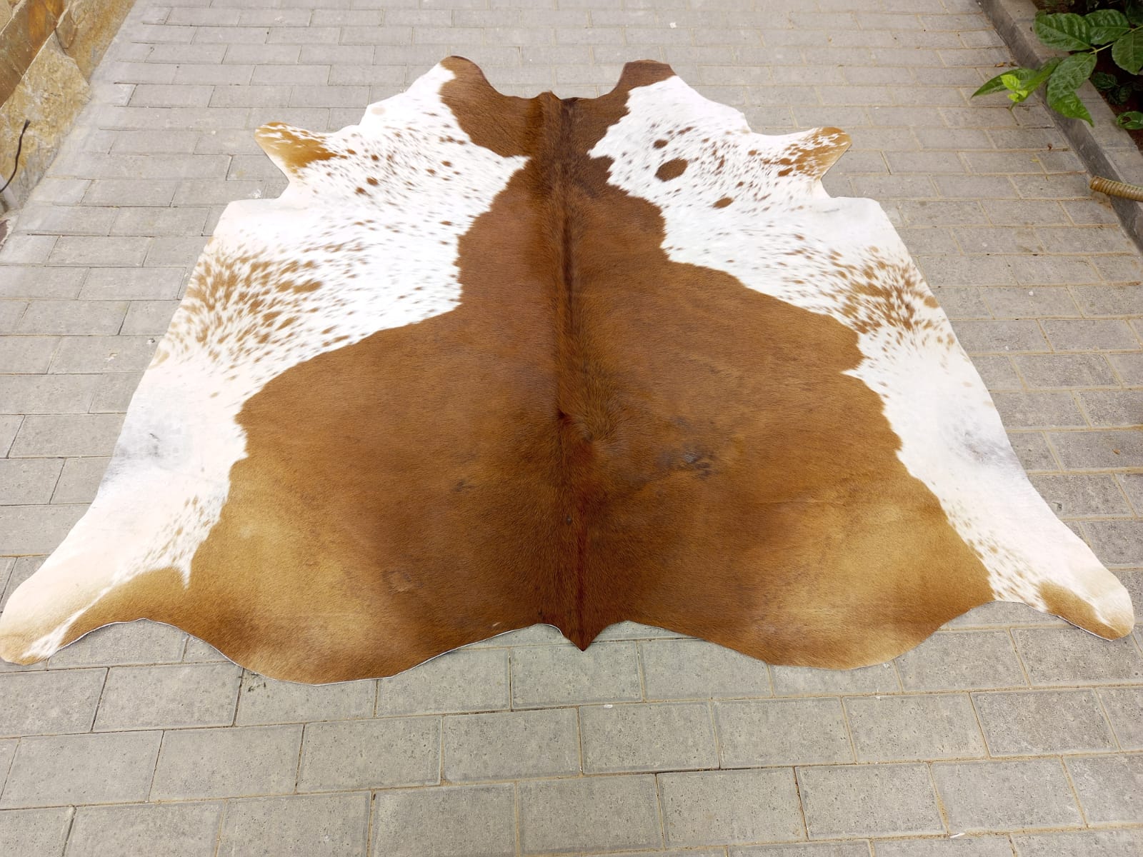 Shop Best Leather Jackets, Coats And Cowhide Leather Bags – Ruby Leather